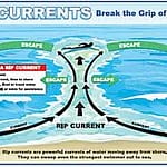 How to Survive a Rip Current | Donald J. Medeiros Insurance Agency