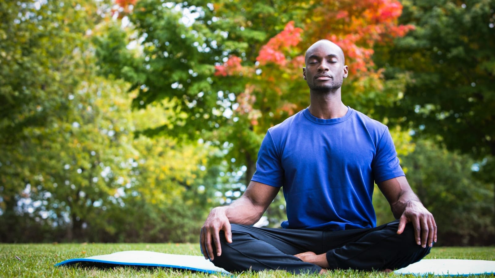 6 Habits That Support Strong Mental Health | The Medicare Connection