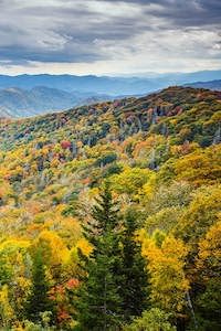 About Us | Triplett Insurance Agency