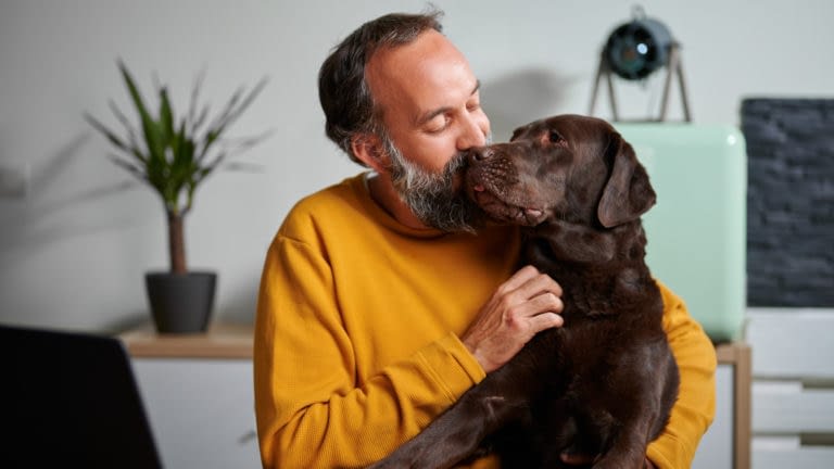 What is Pet Insurance and Do I Need It? | Jensen Insurance Partners