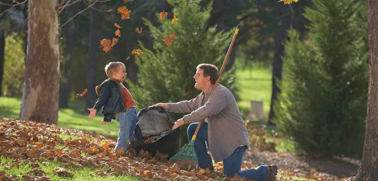 Don’t Leave the Leaves! | Landis Insurance Agency